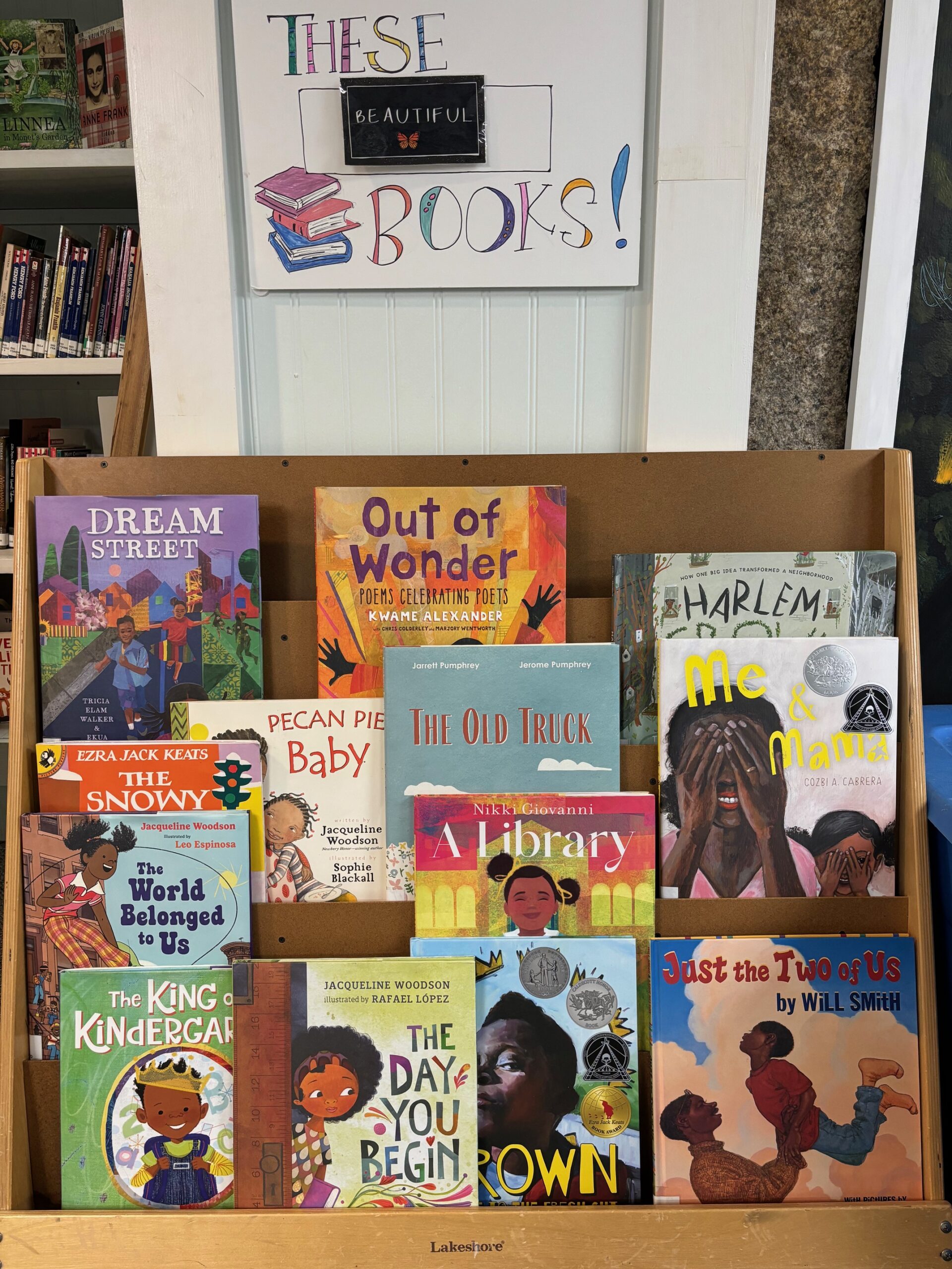 DEI Work at Summit | Summit Montessori School